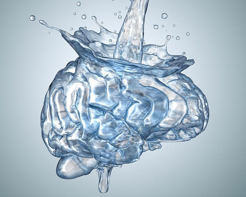 Desvendando os Mistérios da Memória da Água: Ciência, Controvérsias e ...